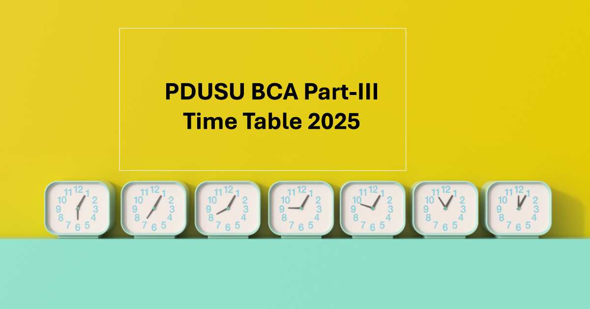 PDUSU UG BCA Part-III Time Table 2025 Shekhawati University